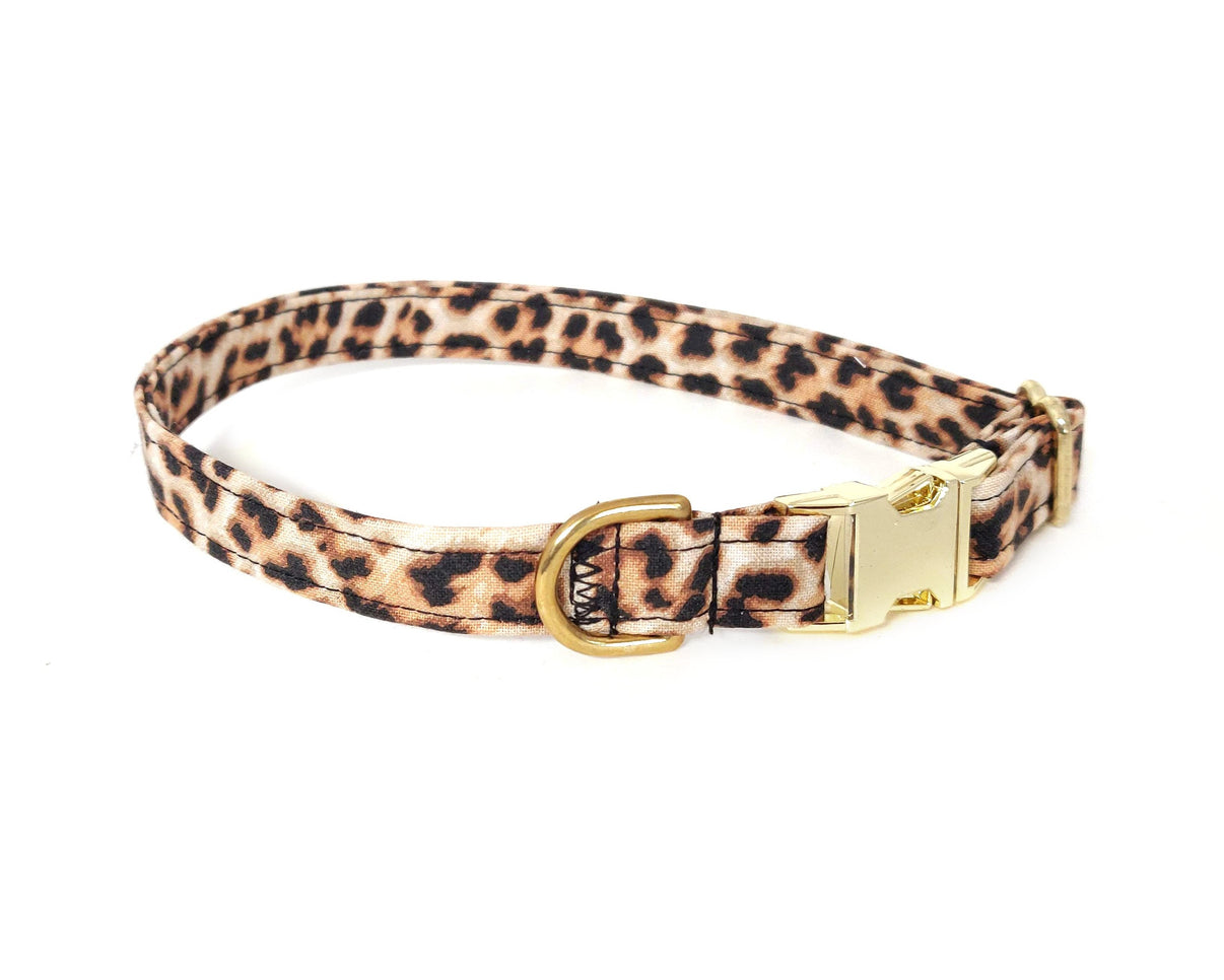 Leopard Print Dog Collar/ Cat Collar – Charlotte's Pet
